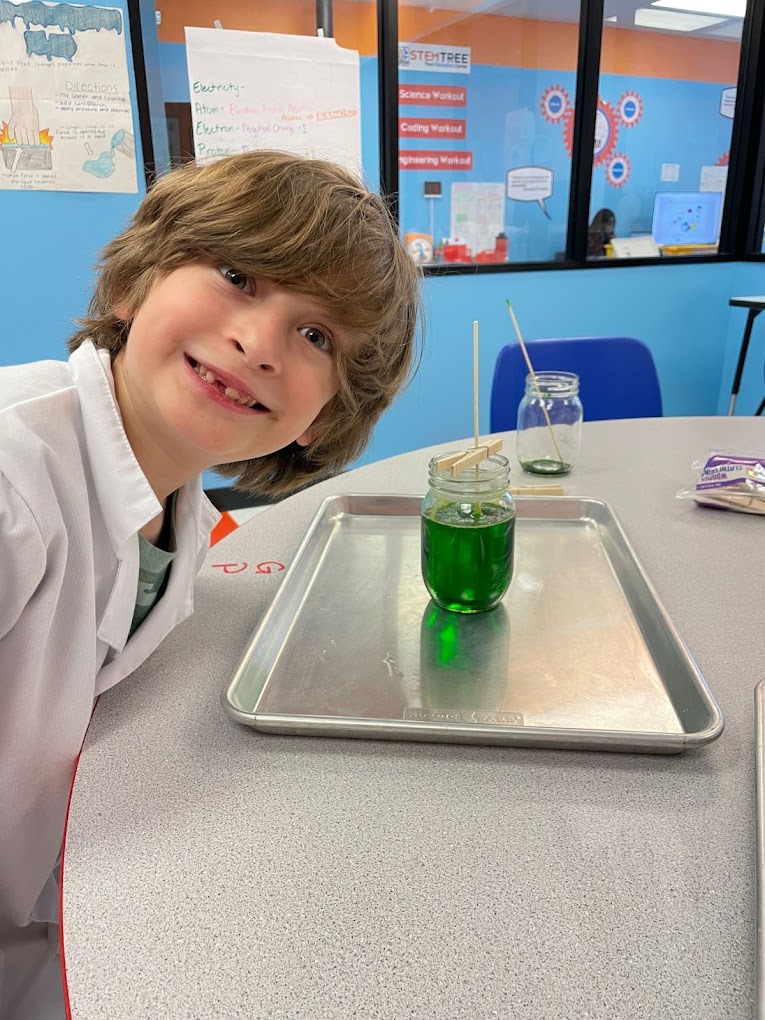 Stemtree of Spring TX Announces Enhanced STEM Education Programs for Summer Learning Season ...